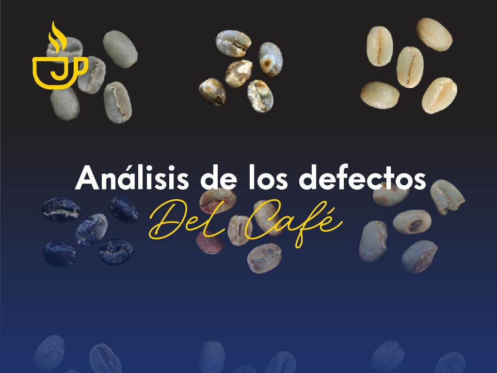 Análisis de defectos del café – JaromaCoffee
